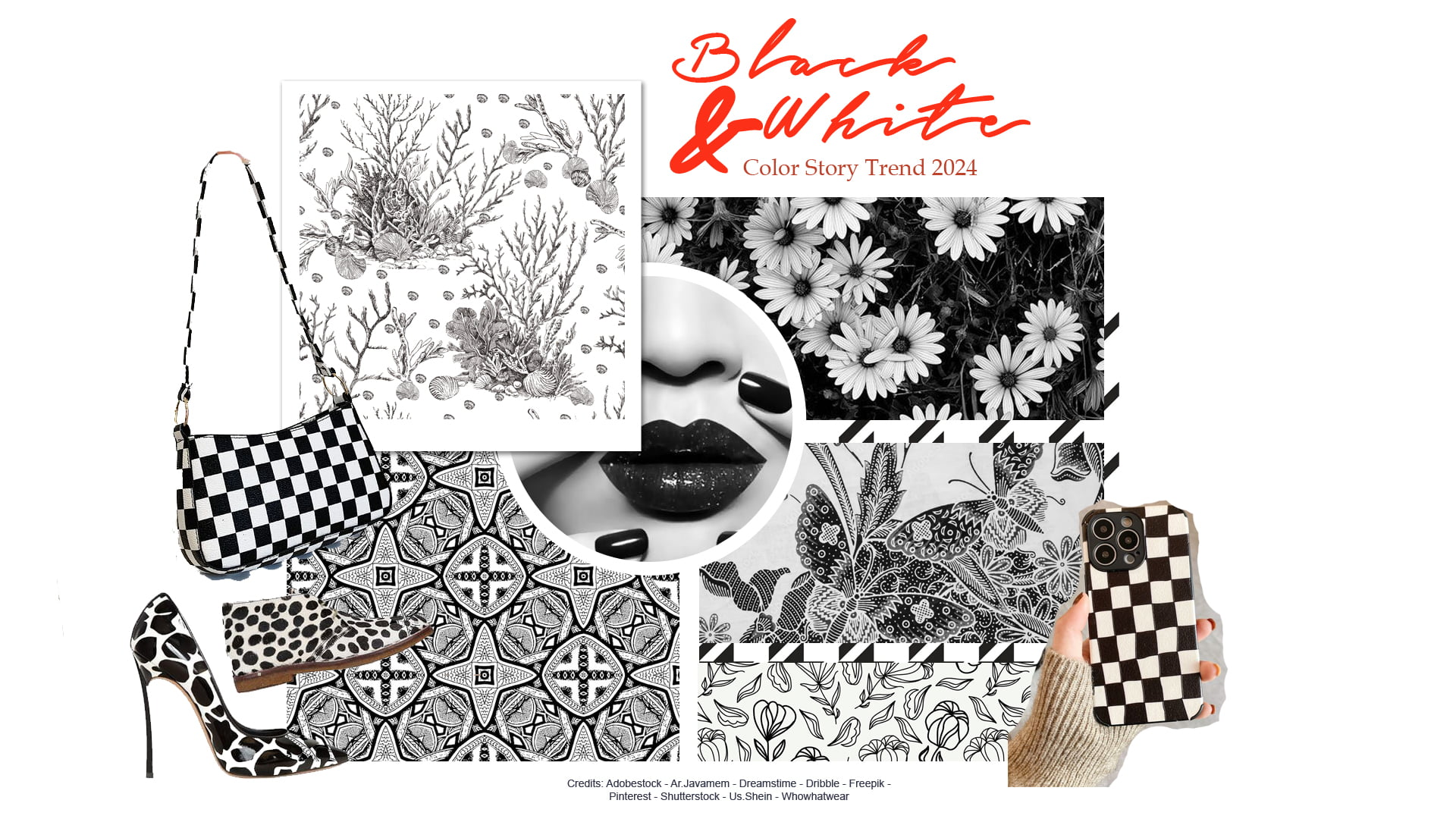 Black and White Color Story Trend 2024 – rumacorak.com